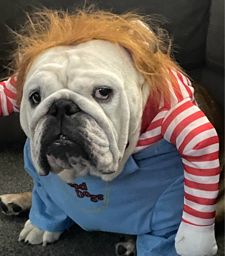 BATCAT HELMET by user_2763736426 MakerWorld: Download Free 3D Models