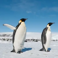 Stefan Gerber | Startseite - MakerWorld