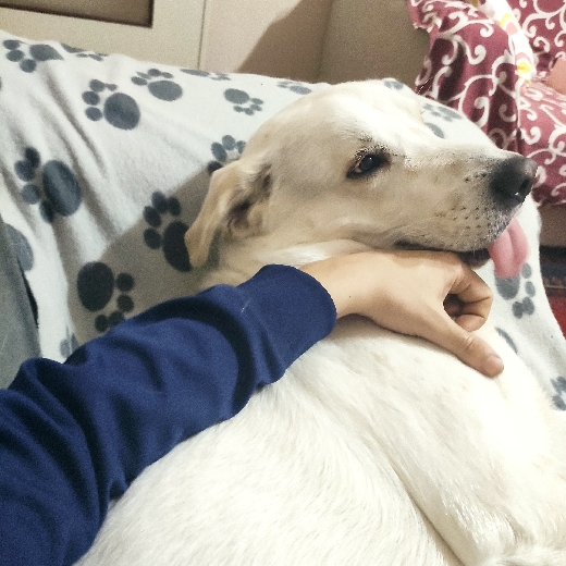 F*CK CANCER Token by M4keYourPrint MakerWorld: Download Free 3D Models