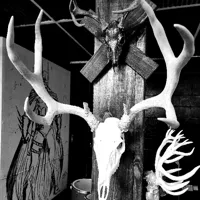 dtm247 | Published - MakerWorld