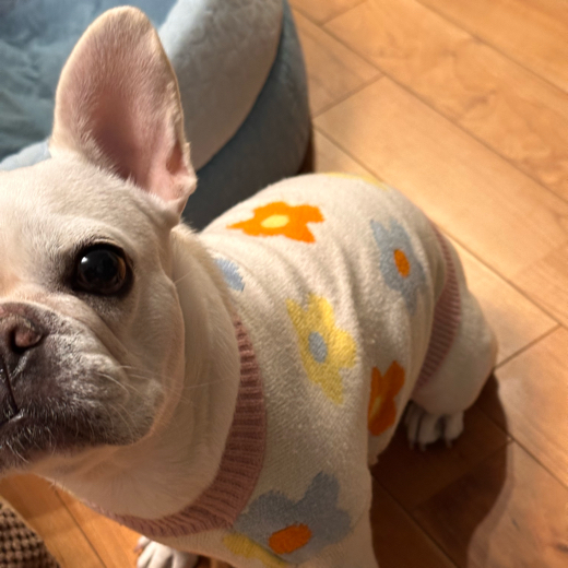 Wall Display for Nintendo Switch Game by Kreda MakerWorld: Download ...