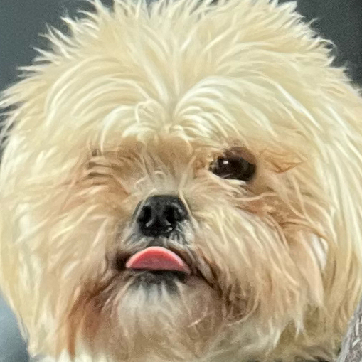 Coaster by Peter-Hans MakerWorld: Download Free 3D Models