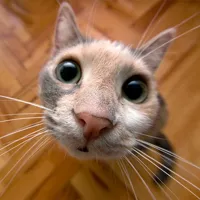 nagypance | Hem - MakerWorld