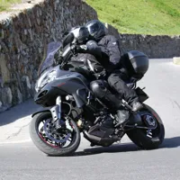 Mietzepaul | Hem - MakerWorld