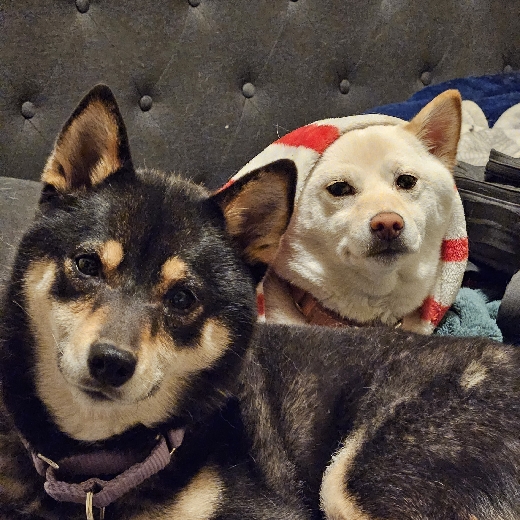 Bambu Lab A1, X & P Series Buildplate Mouse Pad by Catherine Doucet ...