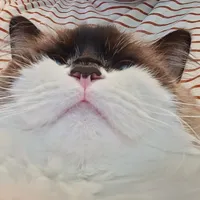 T.H Made | Home - MakerWorld