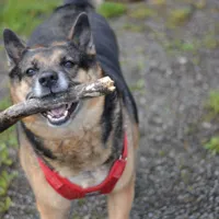 Yaup | Início - MakerWorld