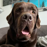 Bogdan | Published - MakerWorld