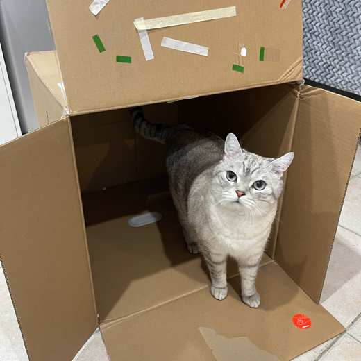 Top Loader Deck Box by Eugenio MakerWorld: Download Free 3D Models