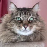 reddadsteve | Published - MakerWorld