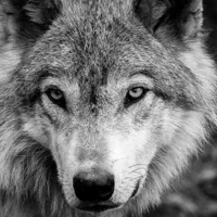 Kuhugi | Startseite - MakerWorld