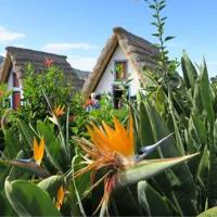 K_M_90 | Published - MakerWorld