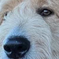 3D Knight | Accueil - MakerWorld