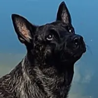 ADM_Michael | Inicio - MakerWorld