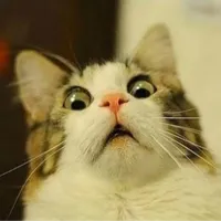 Connectfire | Startseite - MakerWorld