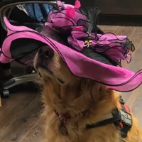 Cory Jorgensen | Published - MakerWorld