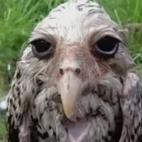 scotchbrite16 | Hem - MakerWorld