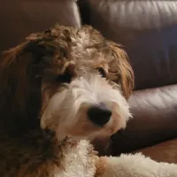 Lightspeedpork | Hem - MakerWorld