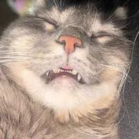 luckyjamie | Hem - MakerWorld