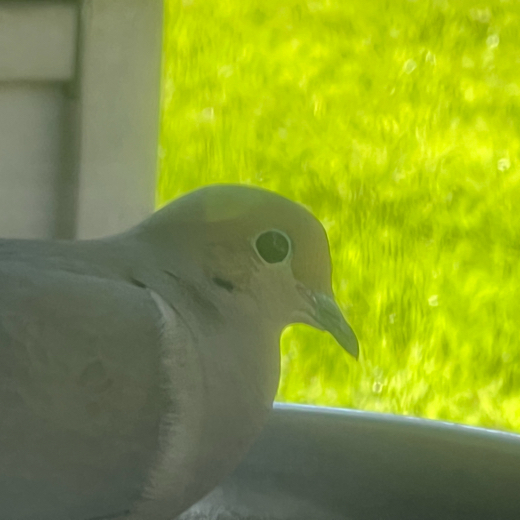 US Army Terrain Model Kit - IBCT Remixed by jouno53 MakerWorld ...