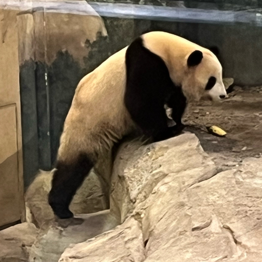 Pythagorean Table - Free 3D Print Model - MakerWorld