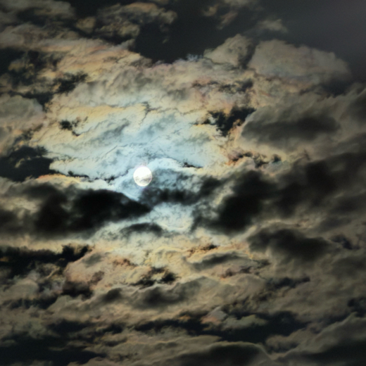 Makeup cotton storage box by Bajza MakerWorld: Download Free 3D Models