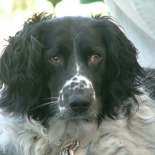 Train - Free 3D Print Model - MakerWorld