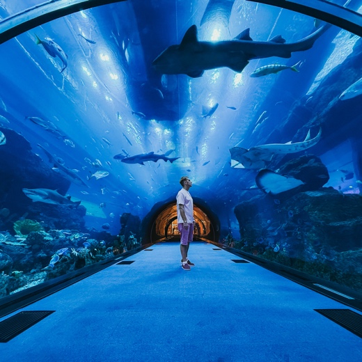 Magical Dragon Alexa Echo Dot Gen 3 Holder by StrabonZ MakerWorld ...