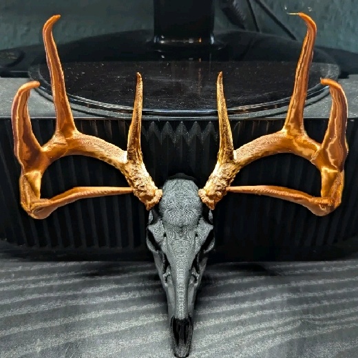 Deer Skull Antler Mount - New Snap/Lock antlers - Free 3D Print Model ...