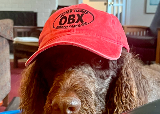 Firearm logo coasters - Free 3D Print Model - MakerWorld