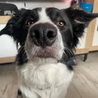 gon1111 | Published - MakerWorld