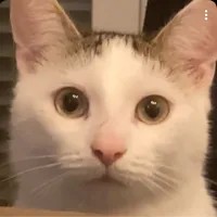 Yannick | Startseite - MakerWorld