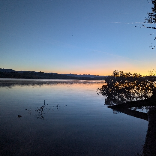 Frog lure (TPU) by Bagghet MakerWorld: Download Free 3D Models