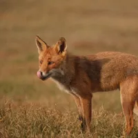 Adam | Startseite - MakerWorld