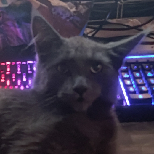 Scientist Keycard (SCP Foundation) - Free 3D Print Model - MakerWorld