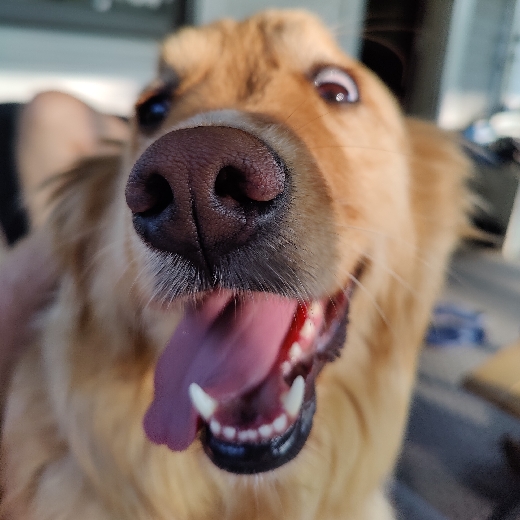 ATSF Warbonnet Locomotive for Dragon Railway Remixed by nullrails ...