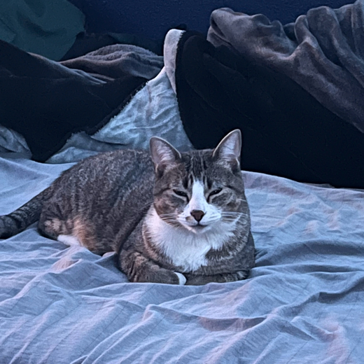 V2 - Stackable Impossible Passthrough by RJ Design MakerWorld: Download ...