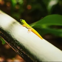 LazyPotato | Startseite - MakerWorld