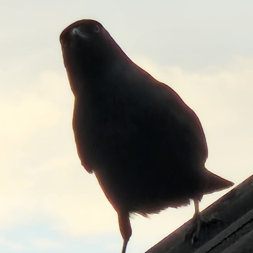 Customizable Pouring Cup with Spout – Fusion 360 by DanMat MakerWorld ...