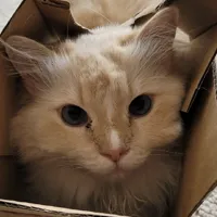 Lumpy3D | Published - MakerWorld