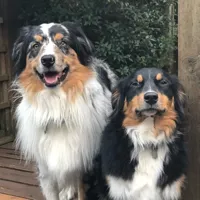 Bad Llama | Accueil - MakerWorld