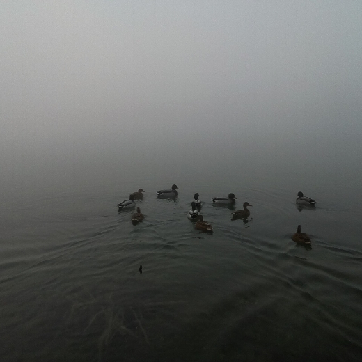 Grinch Mask From How The Grinch Stole Christmas by Dimensional.pl MakerWorld: Download Free 3D ...