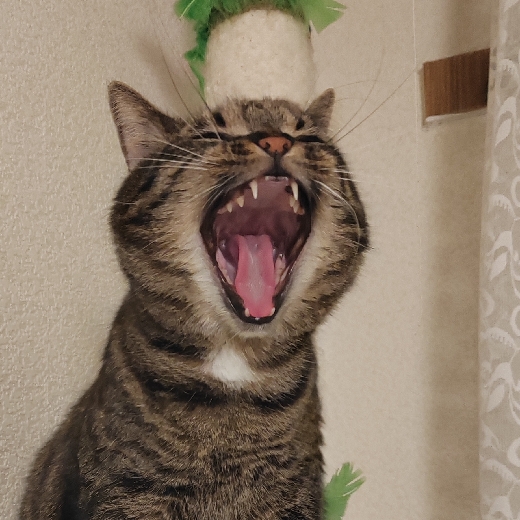 Rambo by Mikeš MakerWorld: Download Free 3D Models