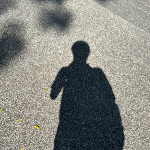 Parametric 4-digit NACA Airfoil Generator - Free 3D Print Model ...