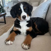 Jerry Nelson | Home - MakerWorld