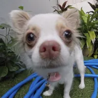 AkiTsukita | Hem - MakerWorld