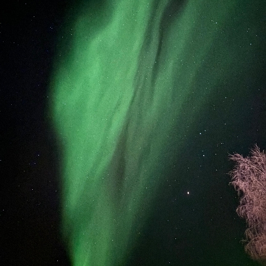 Clash Royale Crown by fededito MakerWorld: Download Free 3D Models