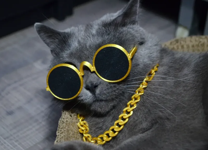 Featured Collections - MakerWorld